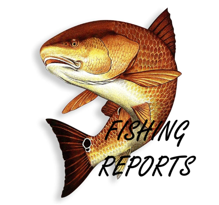 SW Florida Fishing Reports - Cape Coral, Pine Island, Naples