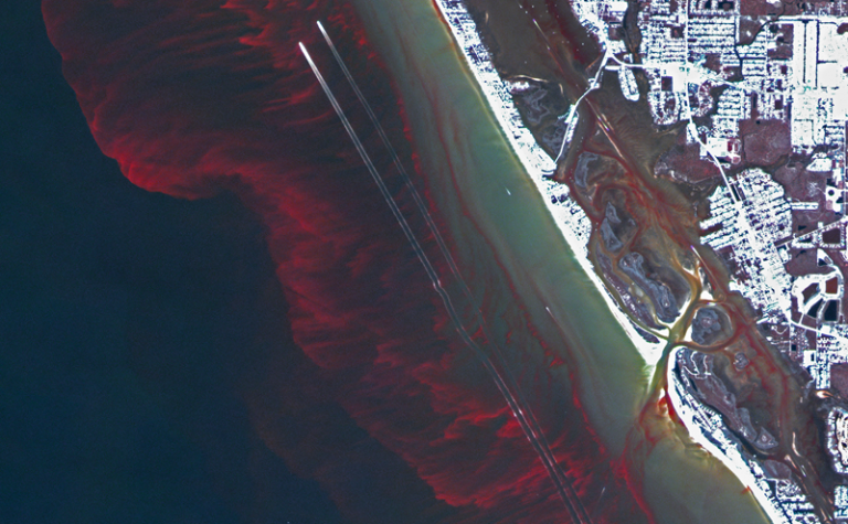 Florida Red Tide Current Map, Central and Southwest Florida