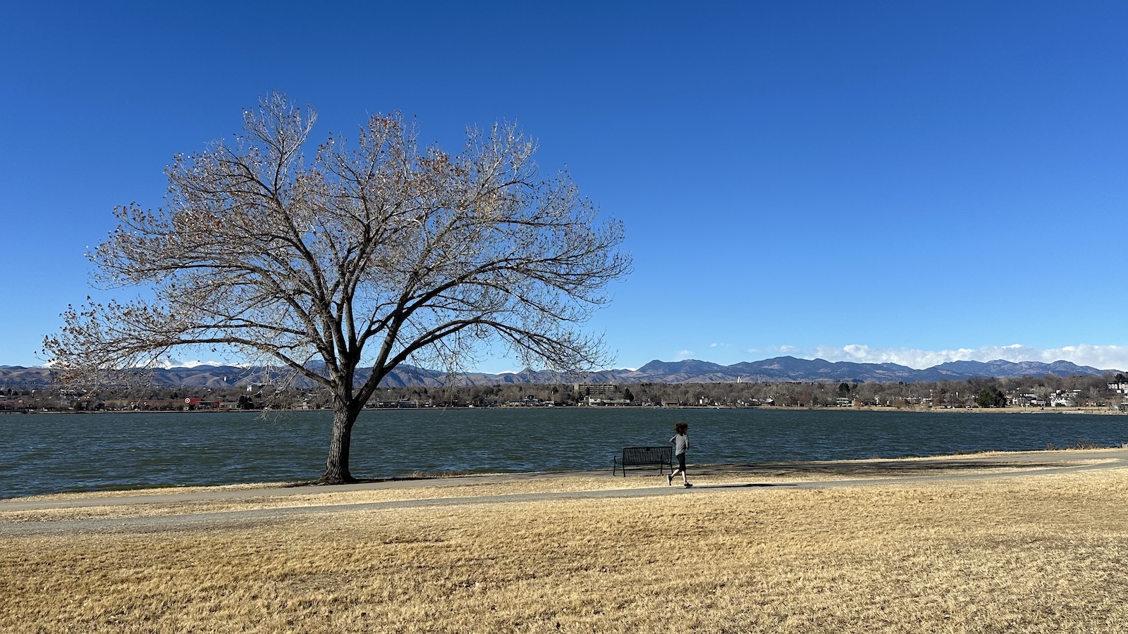 Still plenty of mildness – for now – after a historic holiday warm wave ...